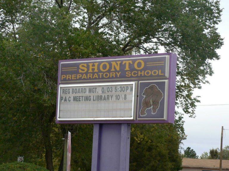 History, Heritage, and a Helping Hand - Children Incorporated